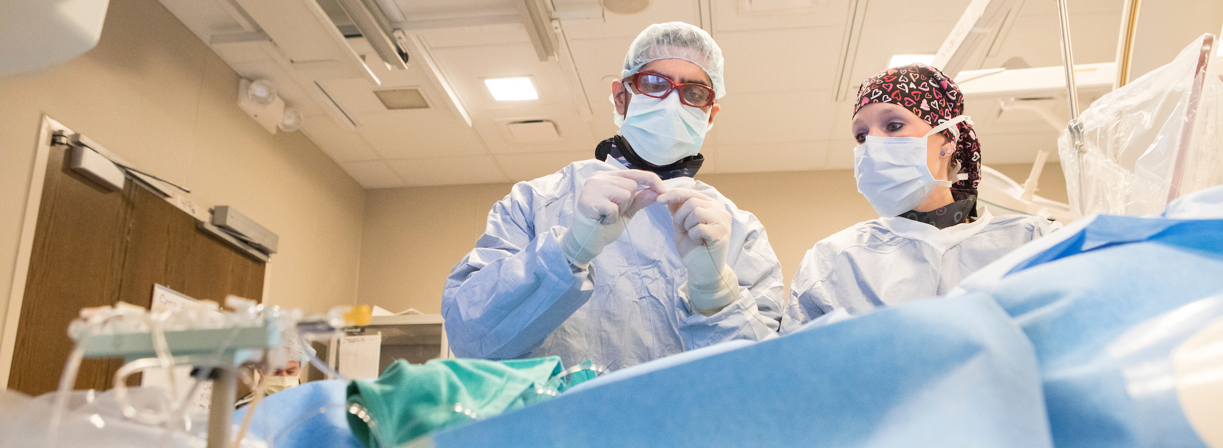 Structural Heart and Heart Valve Disease | University of Iowa Hospitals ...