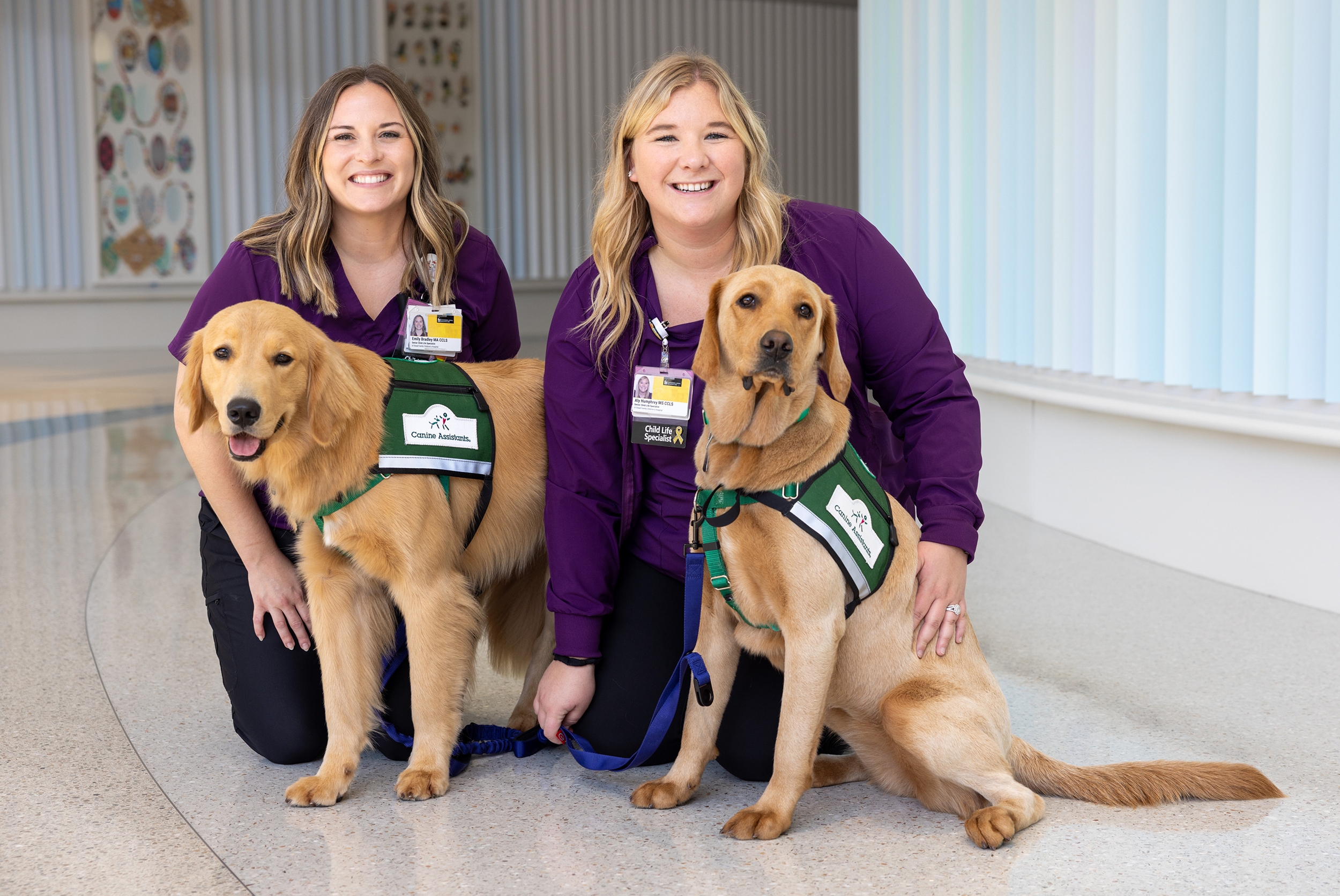 Meet the facility dogs of University of Iowa Stead Family Children’s ...
