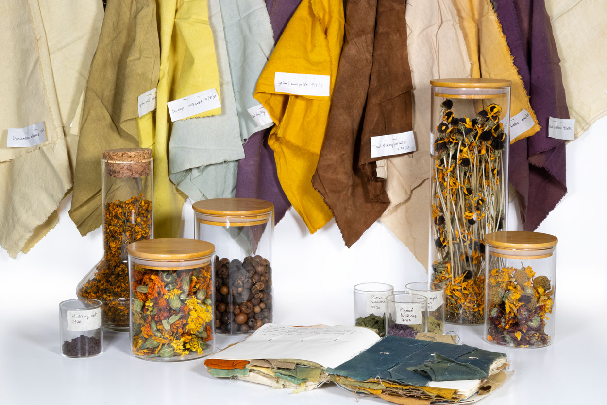 Collecting Color | University of Iowa Health Care