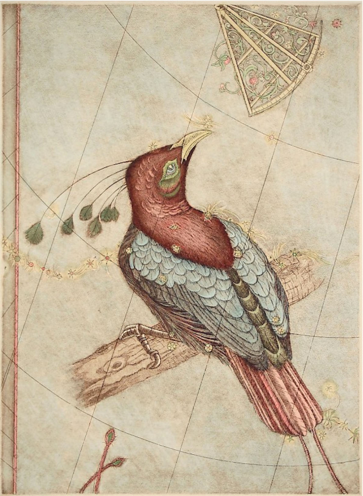 Bird of Paradise Sextant | Stead Family Children's Hospital